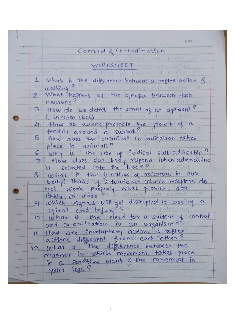 Control and Coordination Worksheet | PDF