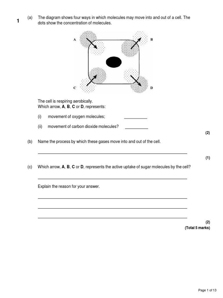 Cell Biology Exam Questions and Answers | PDF | Cell (Biology) | Osmosis