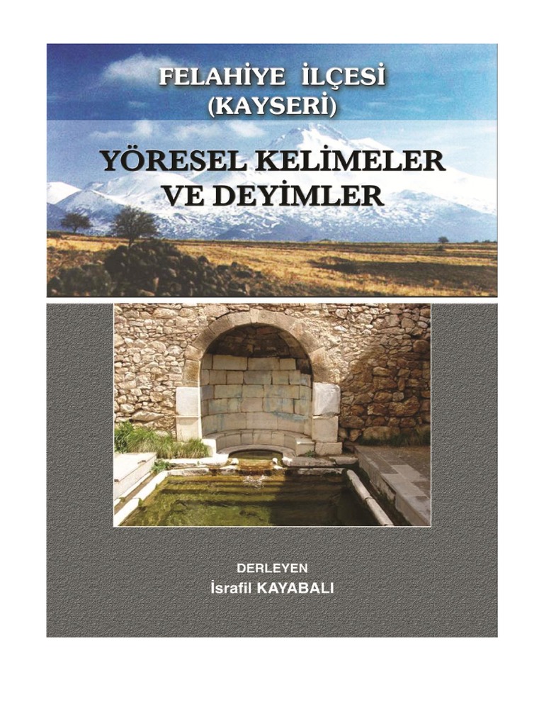 0607-Yoresel Kelimelr Ve Deyimler Israfil Kayabali Felahiya Ilchesi ...