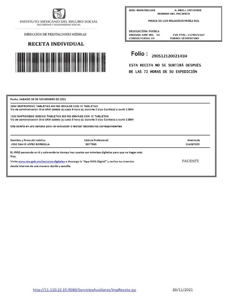 Receta-IMSS Editable | PDF