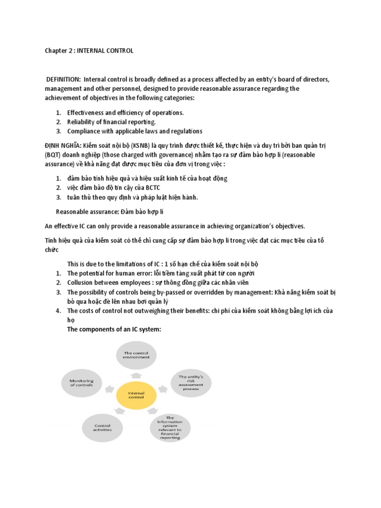 Chapter 2 Audit | PDF