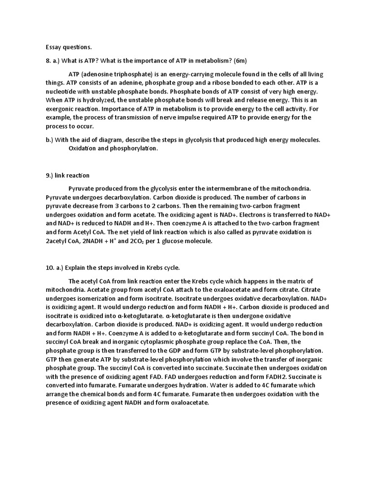 Essay Questions Cellular Respiration | PDF | Cellular Respiration ...