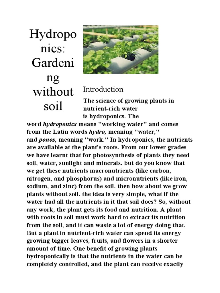 Biology Project Hema | PDF | Hydroponics | Soil