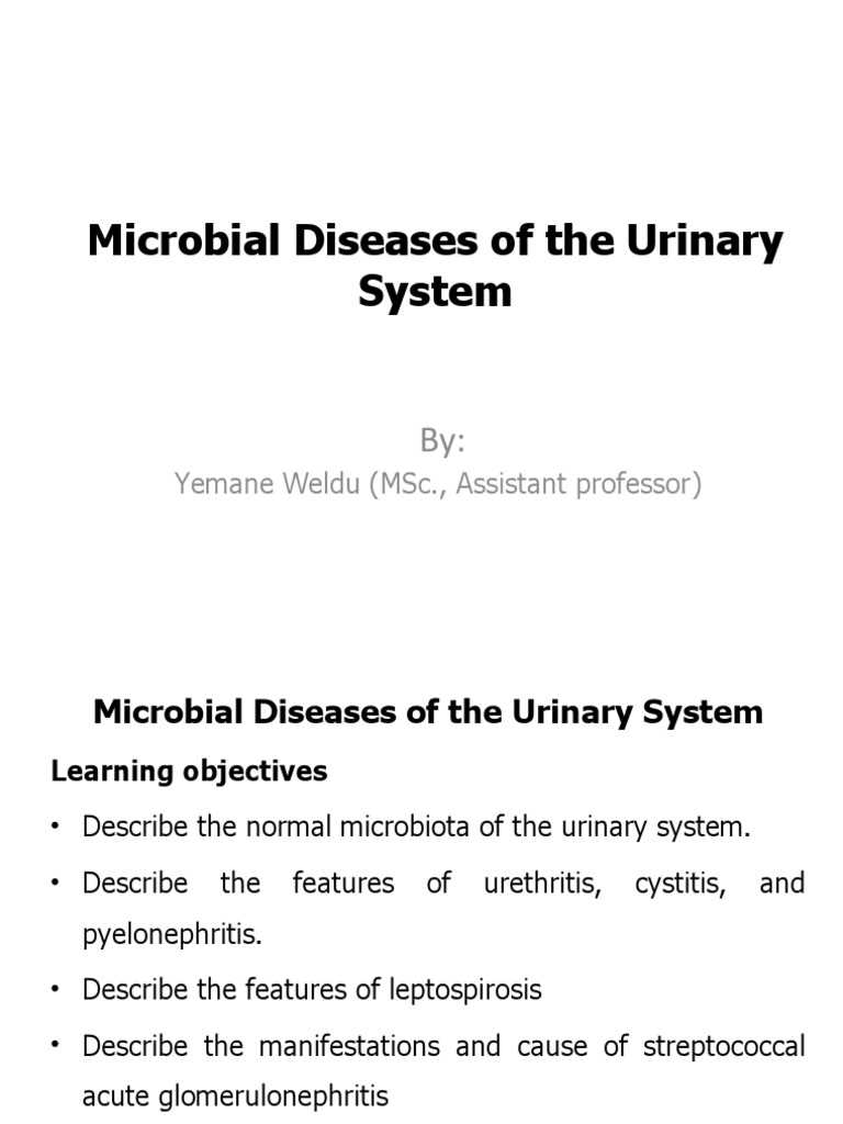 Microbial Diseases of The Urinary System: Yemane Weldu (MSC., Assistant ...