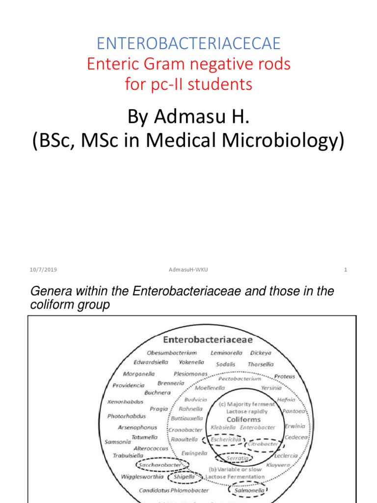 Hemorrhagic colitis and HUS (hemolytic uremic syndrome) | PDF ...