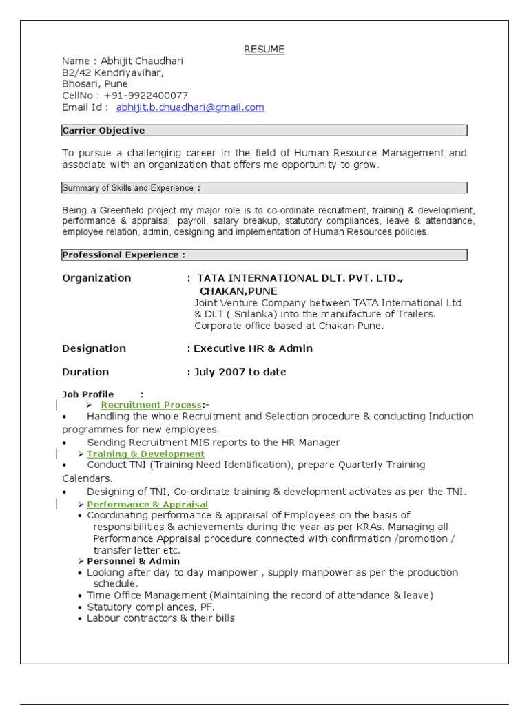 Carrier Objective: Summary of Skills and Experience | PDF