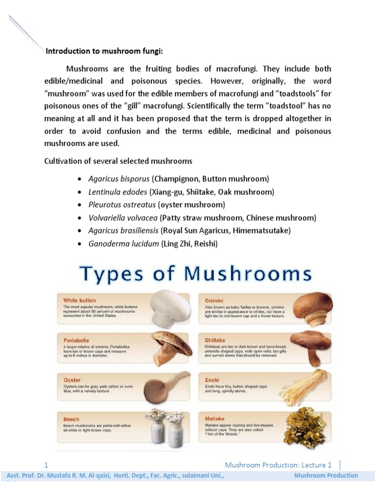 Lecture 1. Introduction | Download Free PDF | Mushroom | Fungus