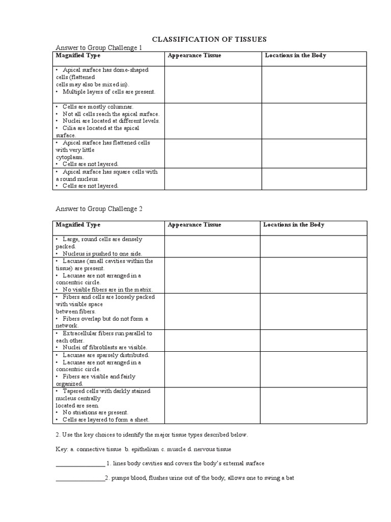 CLASSIFICATION OF TISSUES Repetition Questions | PDF | Tissue (Biology ...