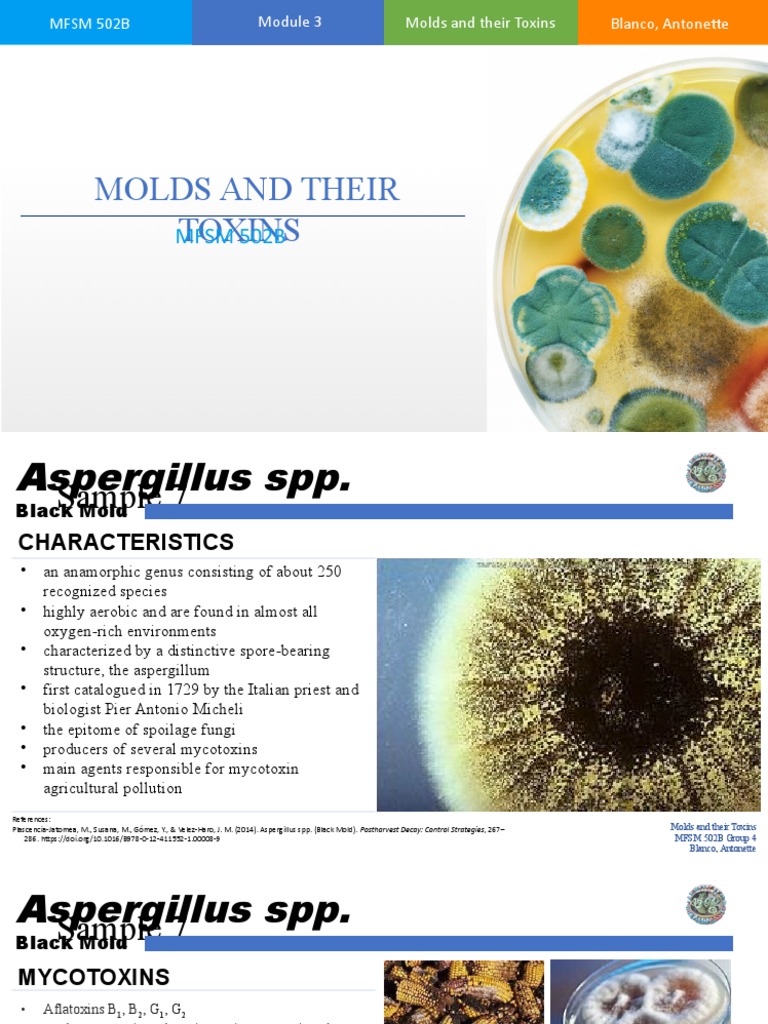 MFSM Molds | PDF | Aspergillus | Mycotoxin MFSM Molds | PDF | Aspergillus | Mycotoxin