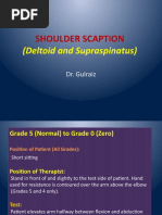 Torbay Cuff Protocol | PDF | Anatomical Terms Of Motion | Shoulder