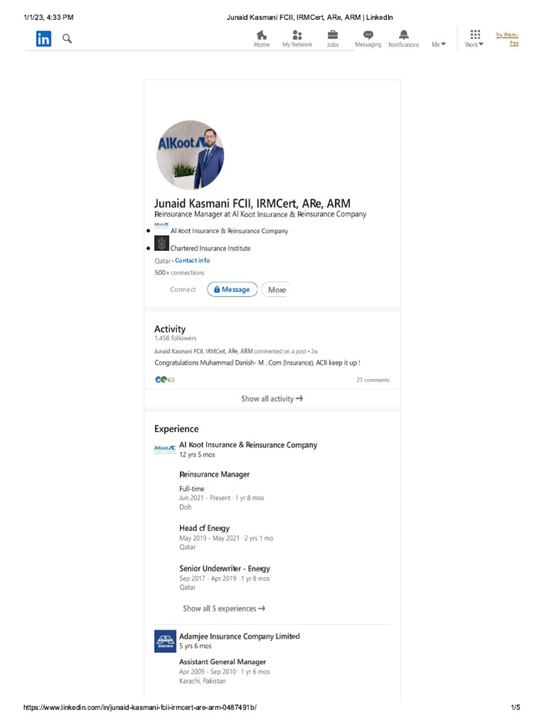 Junaid Kasmani FCII, IRMCert, ARe, ARM - LinkedIn | PDF