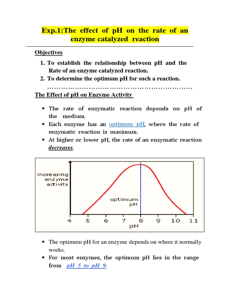 The Effect of pH on Enzyme Activity | PDF | Enzyme | Active Site