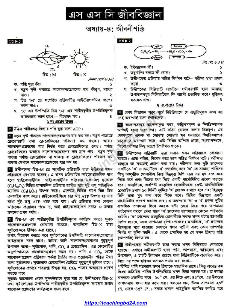 SSC Biology Notes 4th Chapter Bioenergetics | PDF