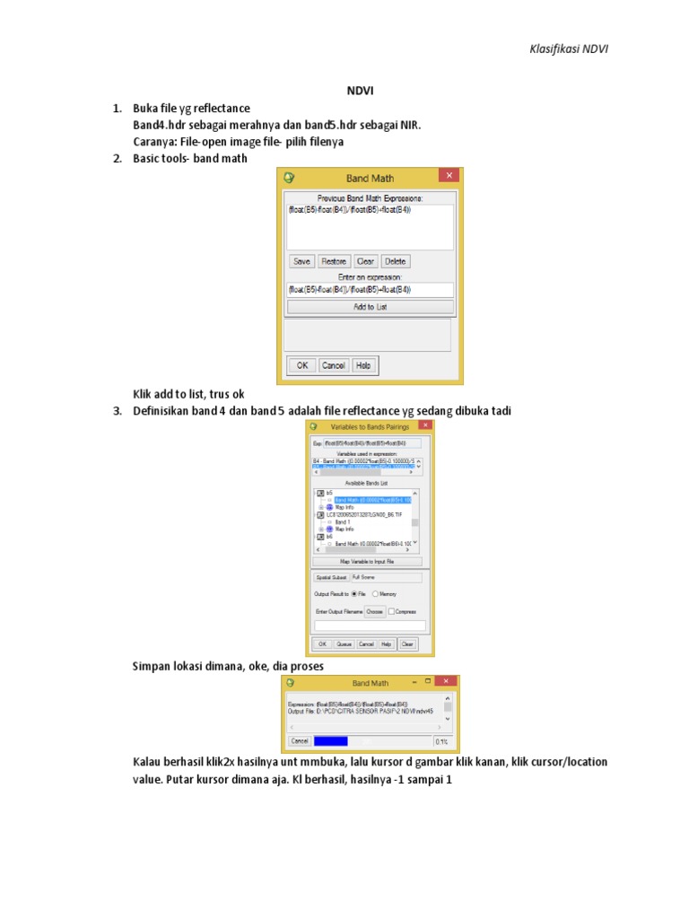Klasifikasi NDVI Dengan Envi | PDF