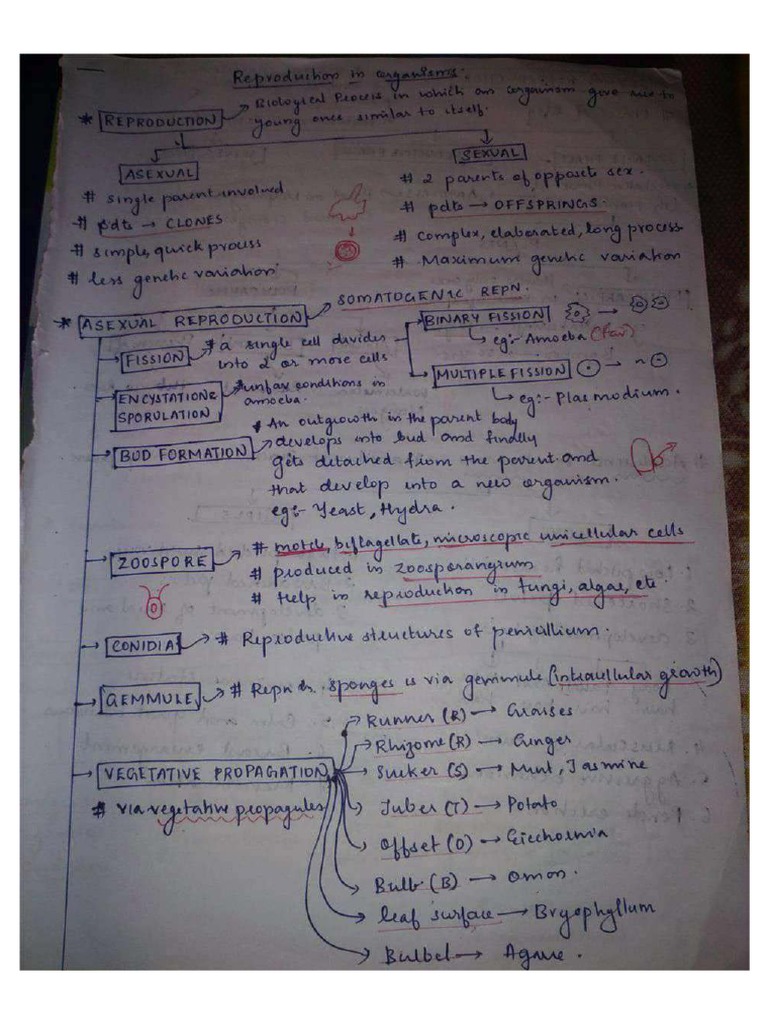 12 Biology Notes For Class 12 Chapter Wise PDF Androbose (1) Cropped | PDF