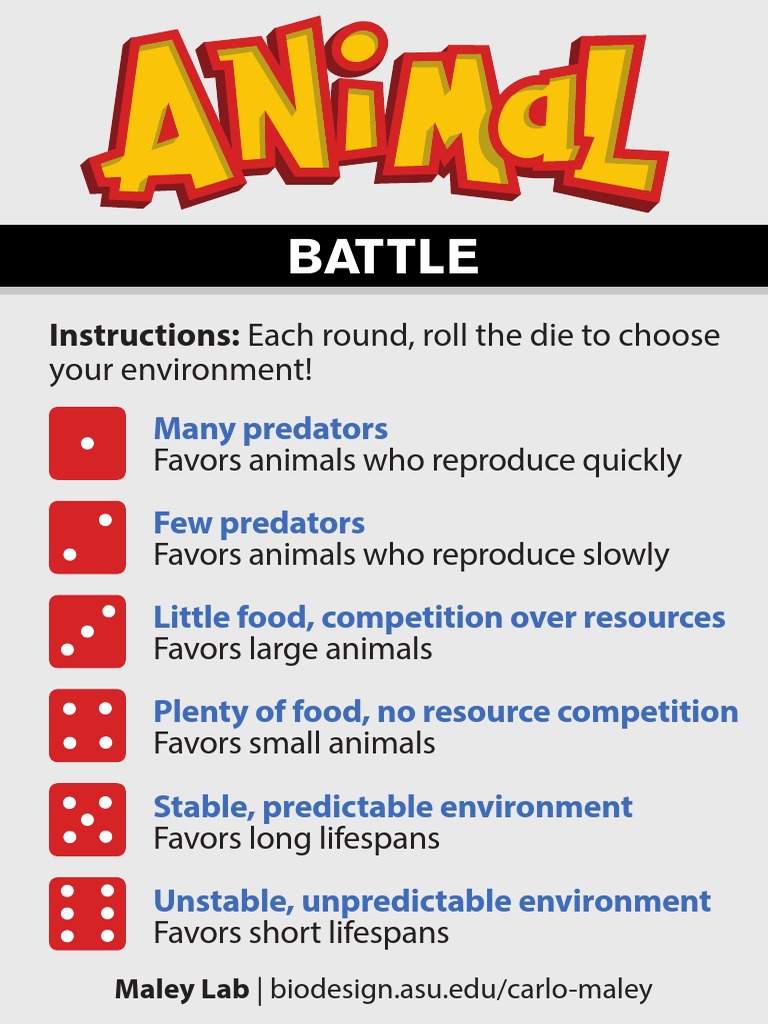 Sabine Deviche Maley Lab Animal Cards | PDF | Elephant | Organisms