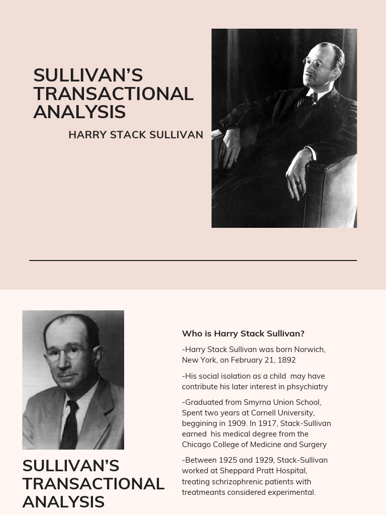 Sullivan's Transactional Analysis Overview | PDF | Adolescence | Friendship