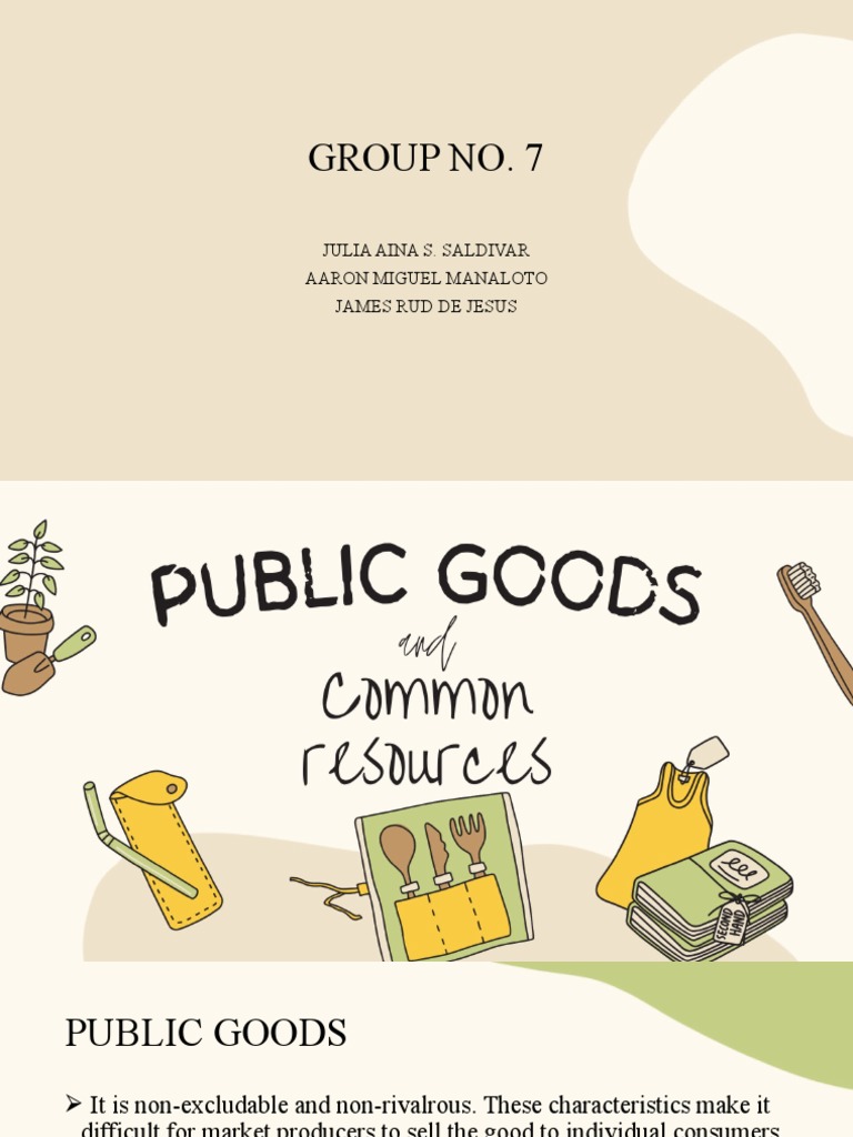 Public Goods and Common Resources Explained | PDF | Goods | Microeconomics