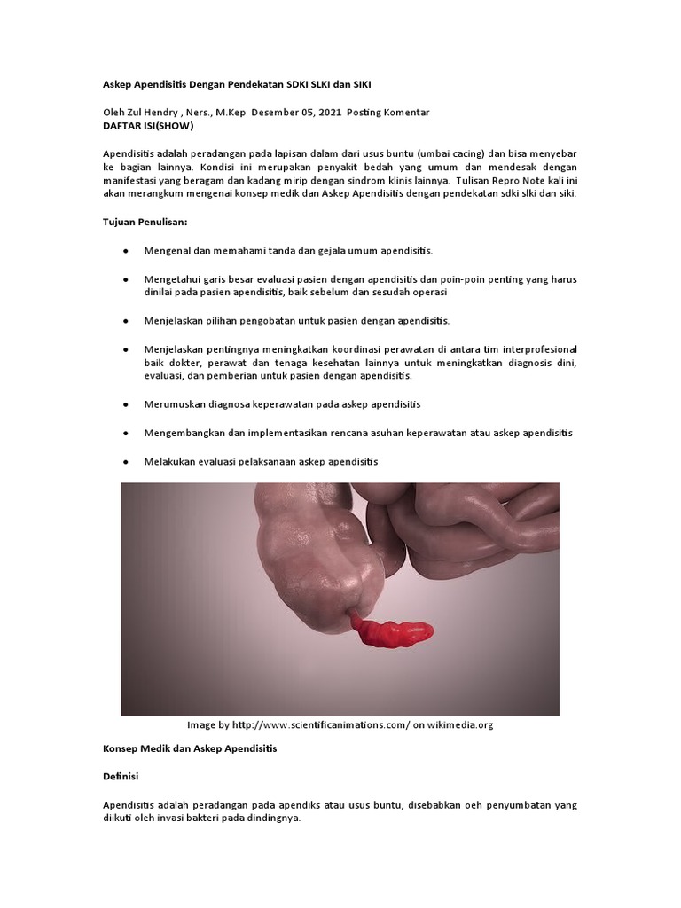 Askep Apendisitis Dengan Pendekatan SDKI SLKI Dan | PDF | Pengembangan Diri | Kesehatan Holistik