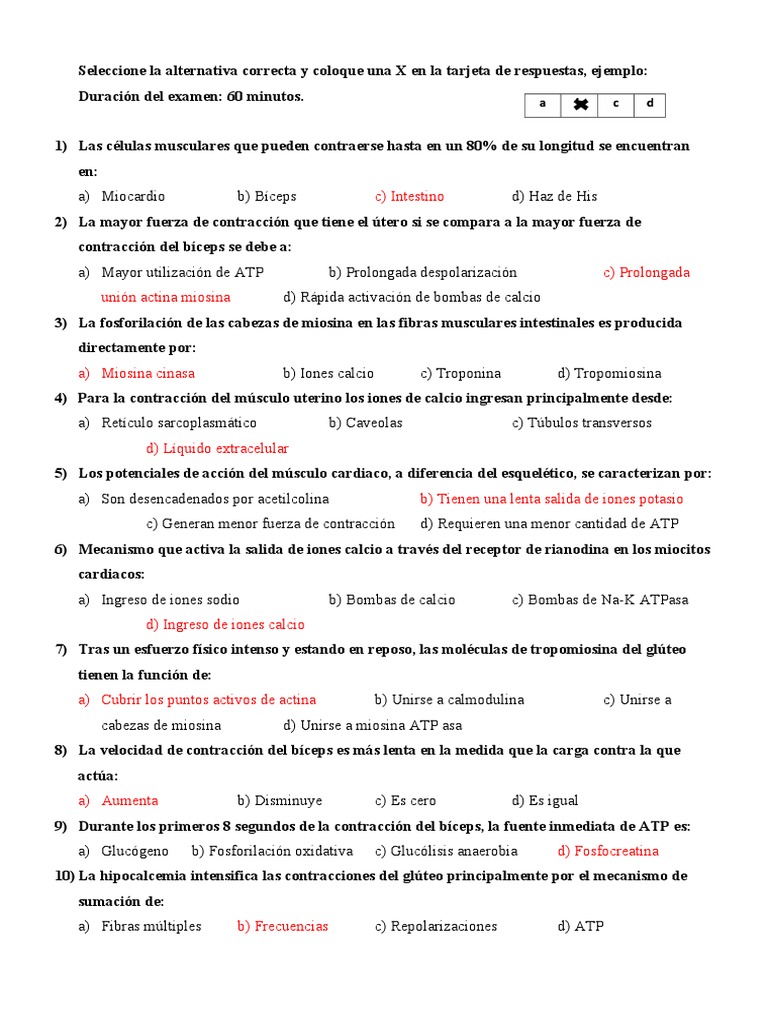 Respuestas de Examen Final | PDF