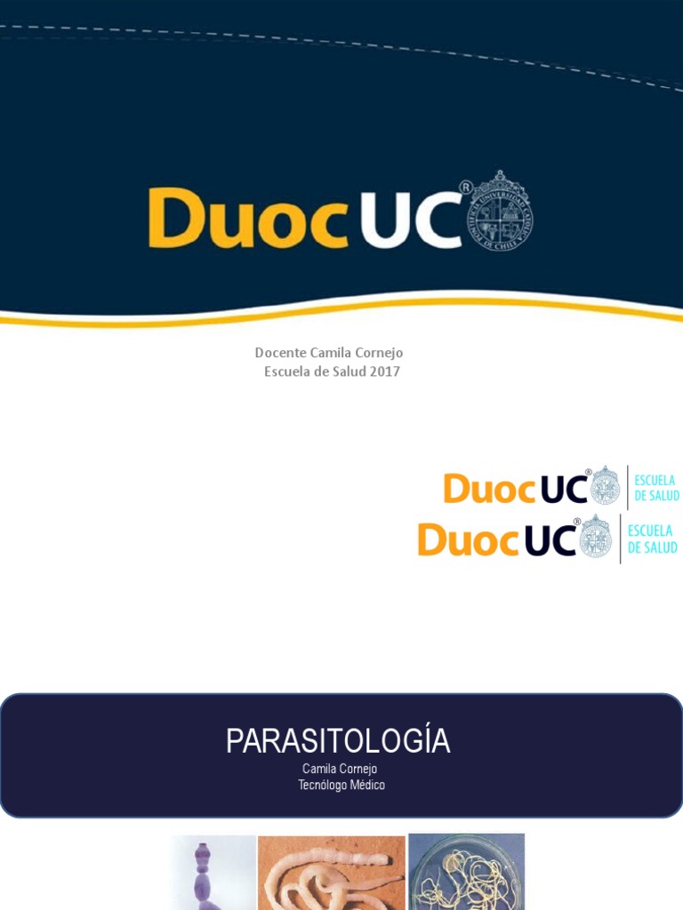 Clase 1 Amebas | PDF | Especialidades Medicas | Ciencias de la Salud