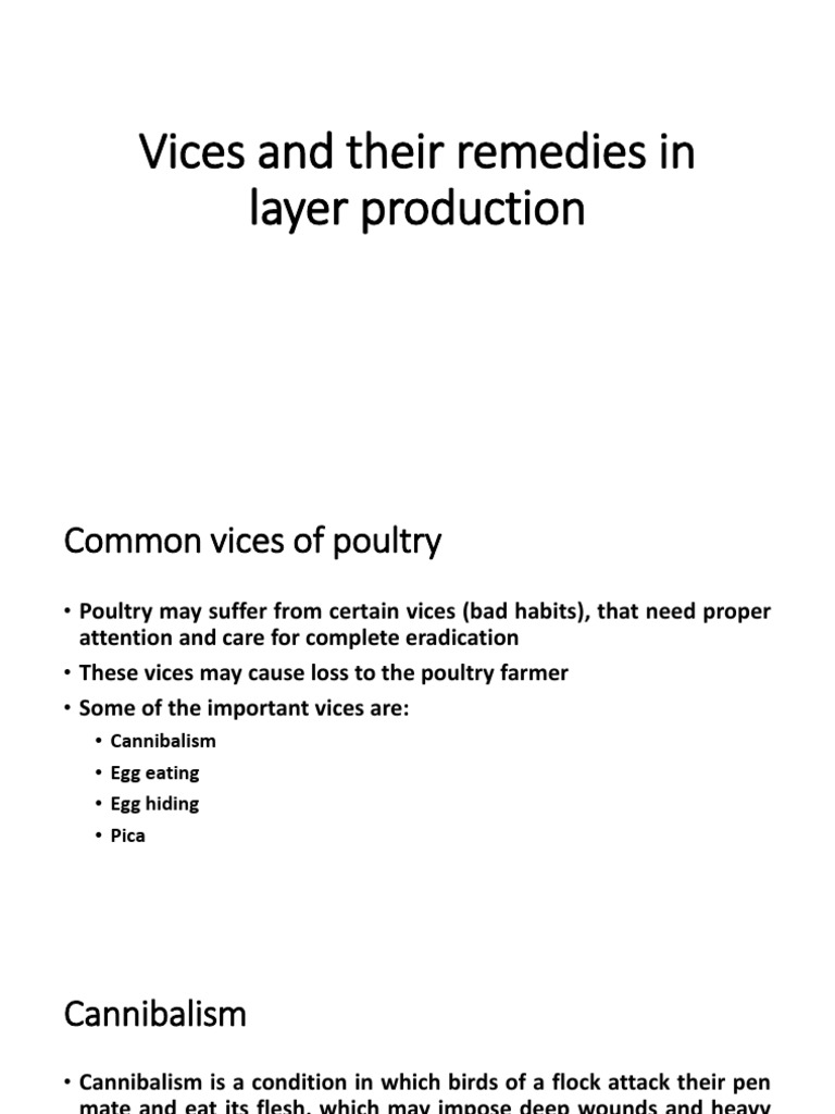 Vices and Their Remedies in Layer | PDF | Aviculture | Birds