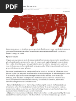 Visceras de La Res | PDF | Menudencias | Carne
