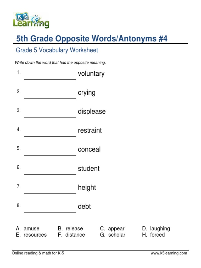 5th Grade Antonyms 4 | PDF