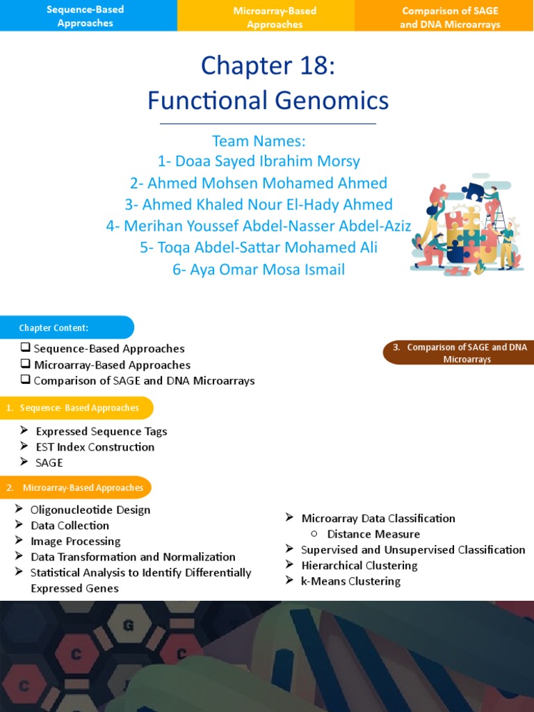 Chapter 18 Presentation | PDF | Dna Microarray | Complementary Dna