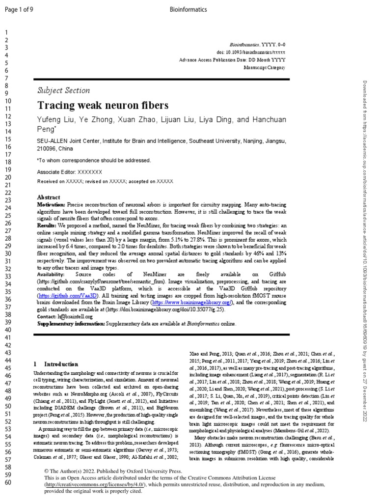 Tracing Weak Neuron Fibers | PDF | Axon | Image Segmentation