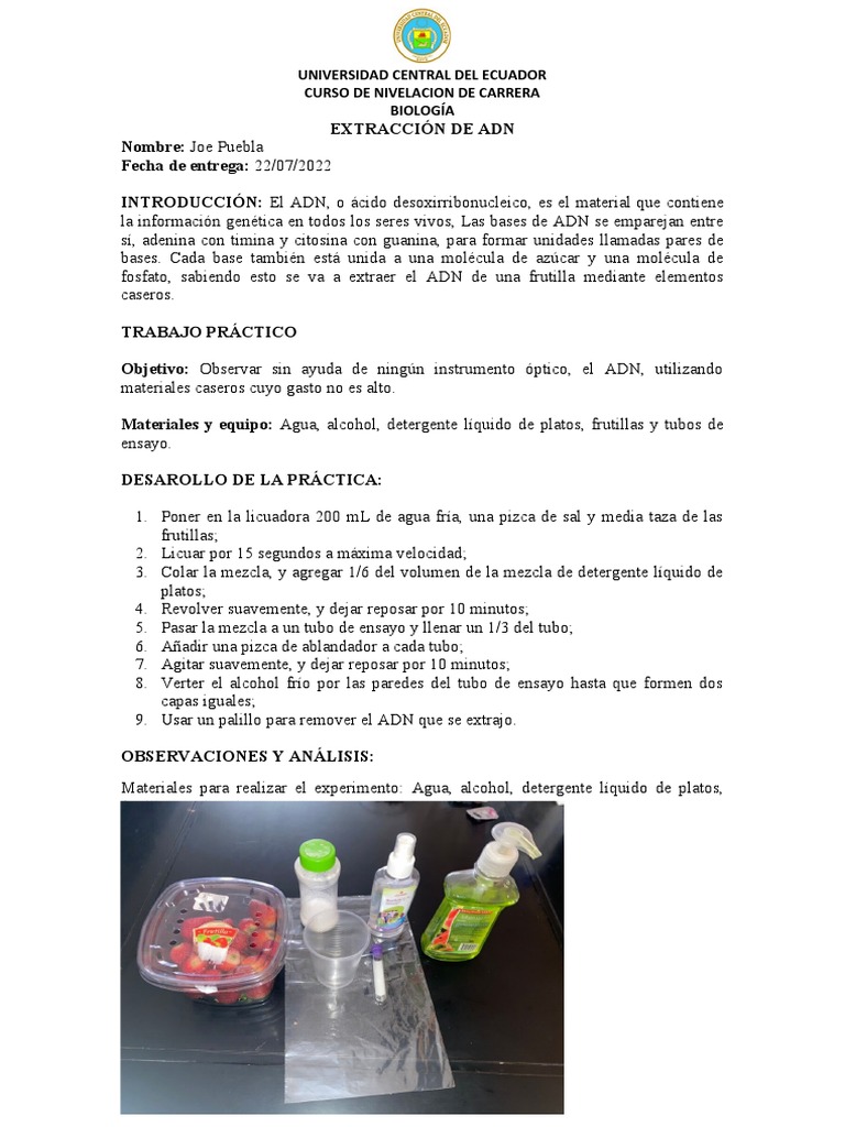 Extracción de Adn | PDF | Adn | sal