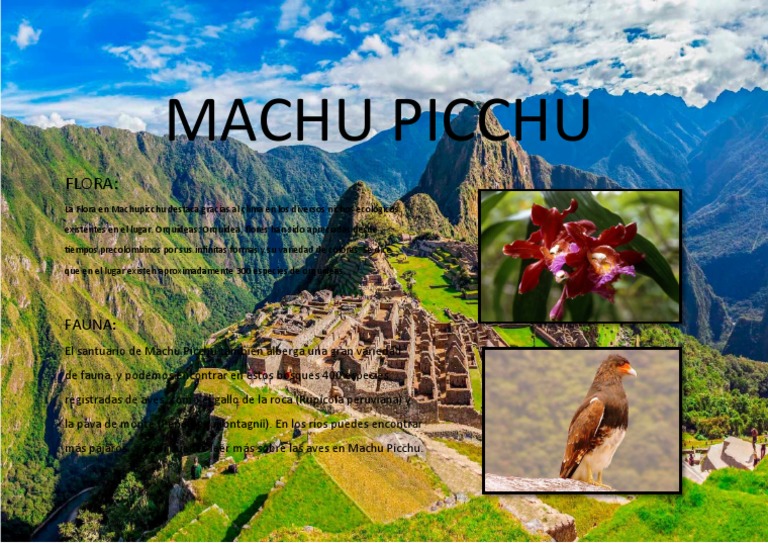 Machu Picchu | PDF