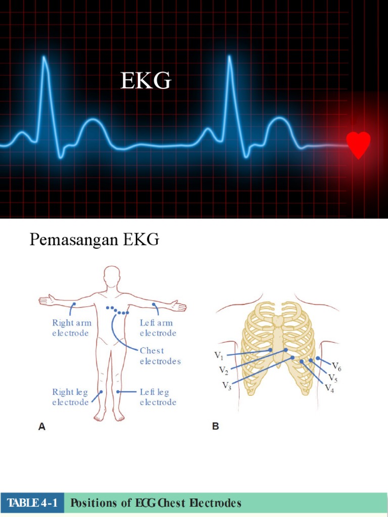 Pembacaan EKG | PDF