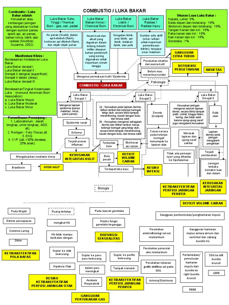 Main Mapping Combustio | PDF