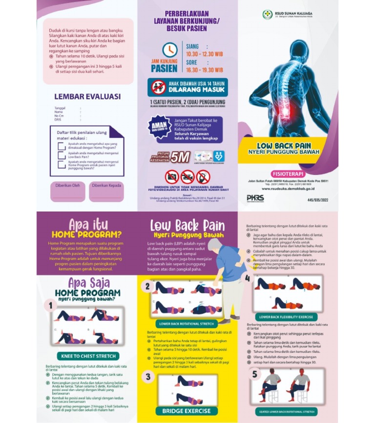 low back pain | PDF
