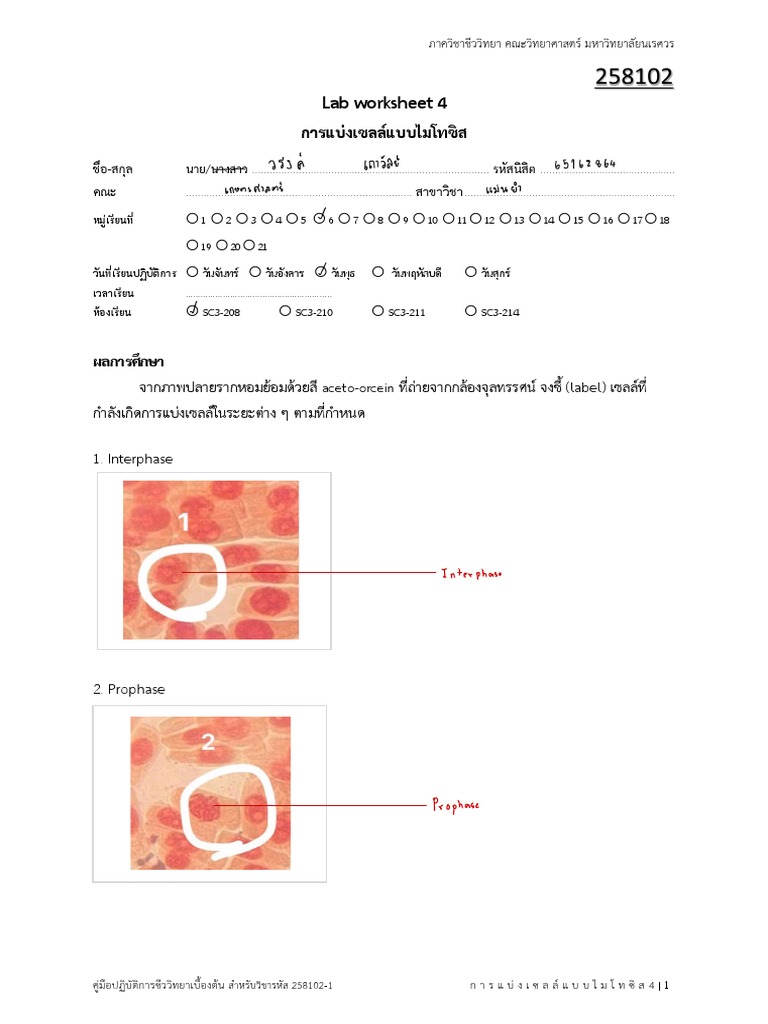 Lab-04_วรงค์ เถาวัลย์_65162864 | PDF