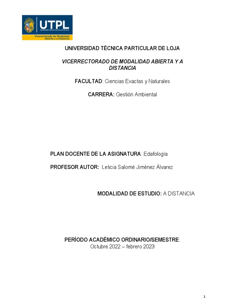 Plan Docente | PDF | Evaluación | Cuestionario