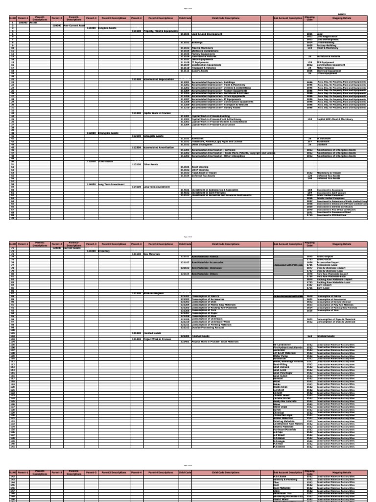 New COA | PDF | Fixed Asset | Intangible Asset