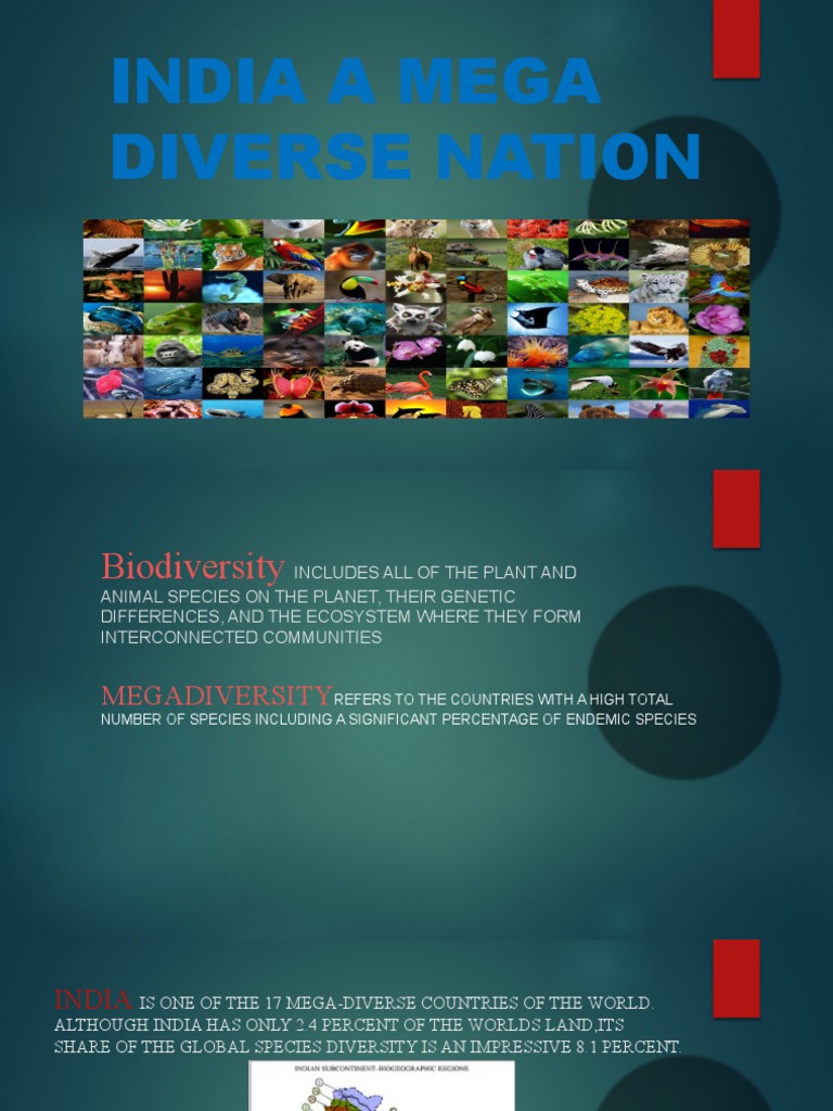 India A Mega Diverse Nation | PDF | Biodiversity | Conservation Biology