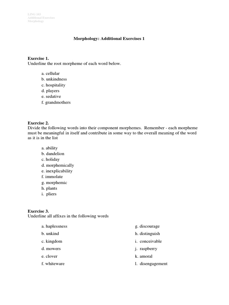 Additional Morphology Exercises 1 | PDF