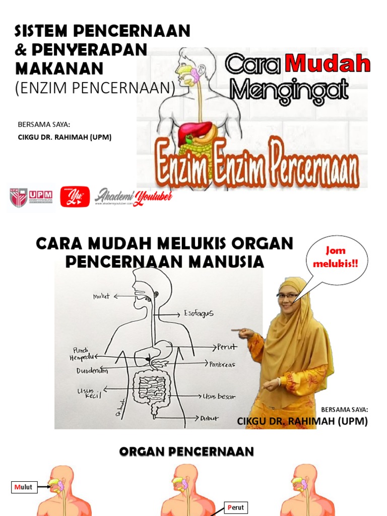 Slide Enzim Pencernaan | PDF