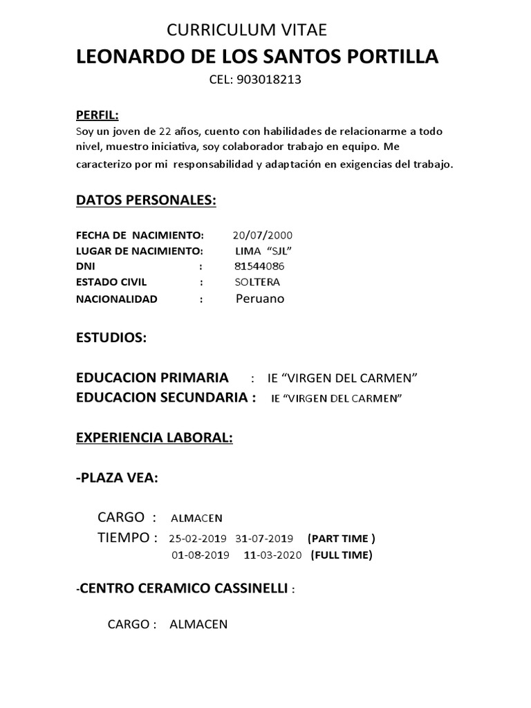 Curriculum Vitae Leo | PDF