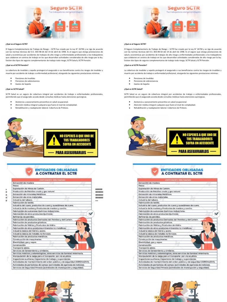 Qué Es El Seguro SCTR | PDF | Seguro | Pensión