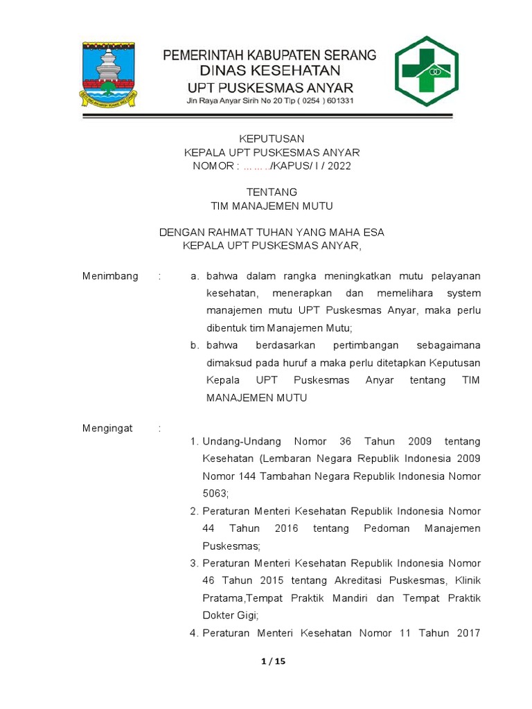 SK Tim Manajemen Mutu | PDF