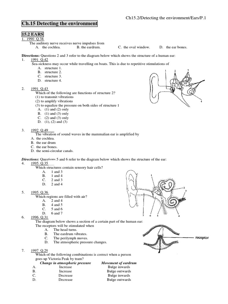 MC - Ch15.2 (TS) Ears | PDF | Ear | Neuroscience