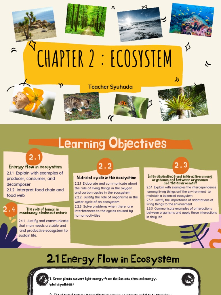 Chapter 2 - Ecosystem | PDF | Ecosystem | Carbon Cycle