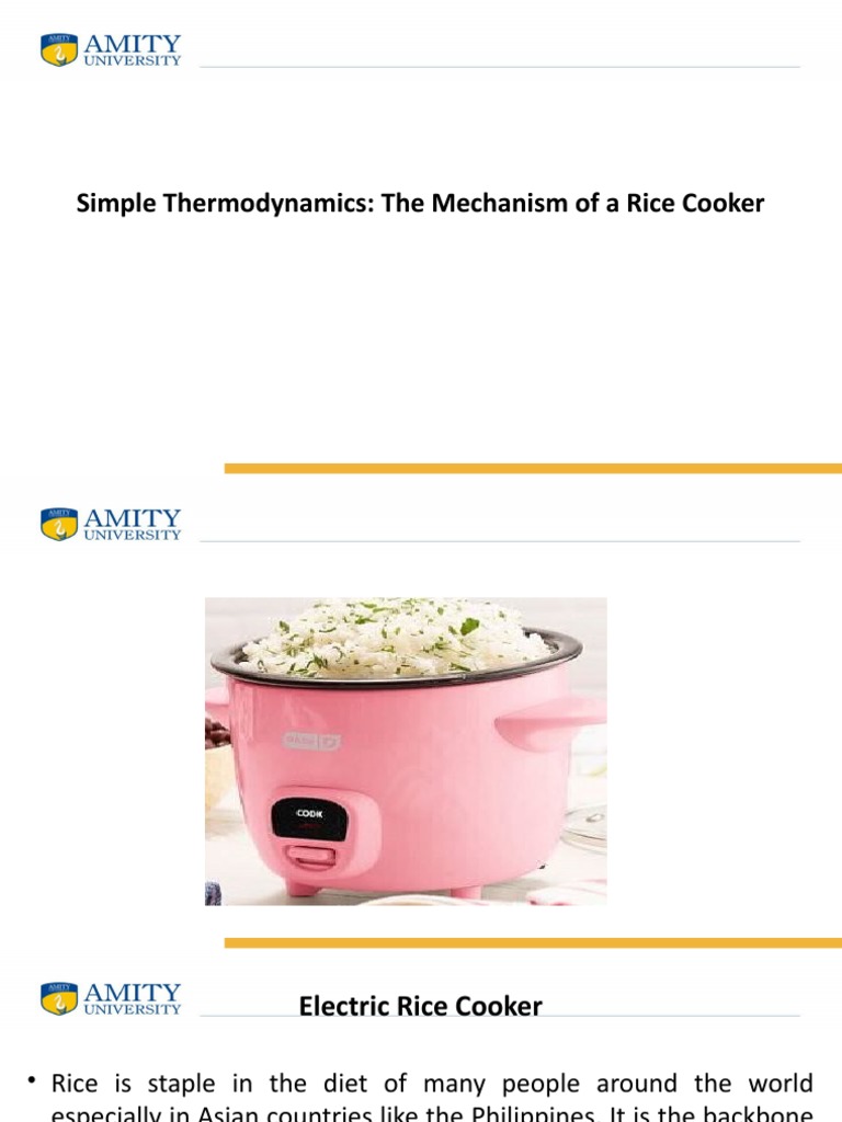 Electric Rice Cooker | Download Free PDF | Heat | Thermal Conduction