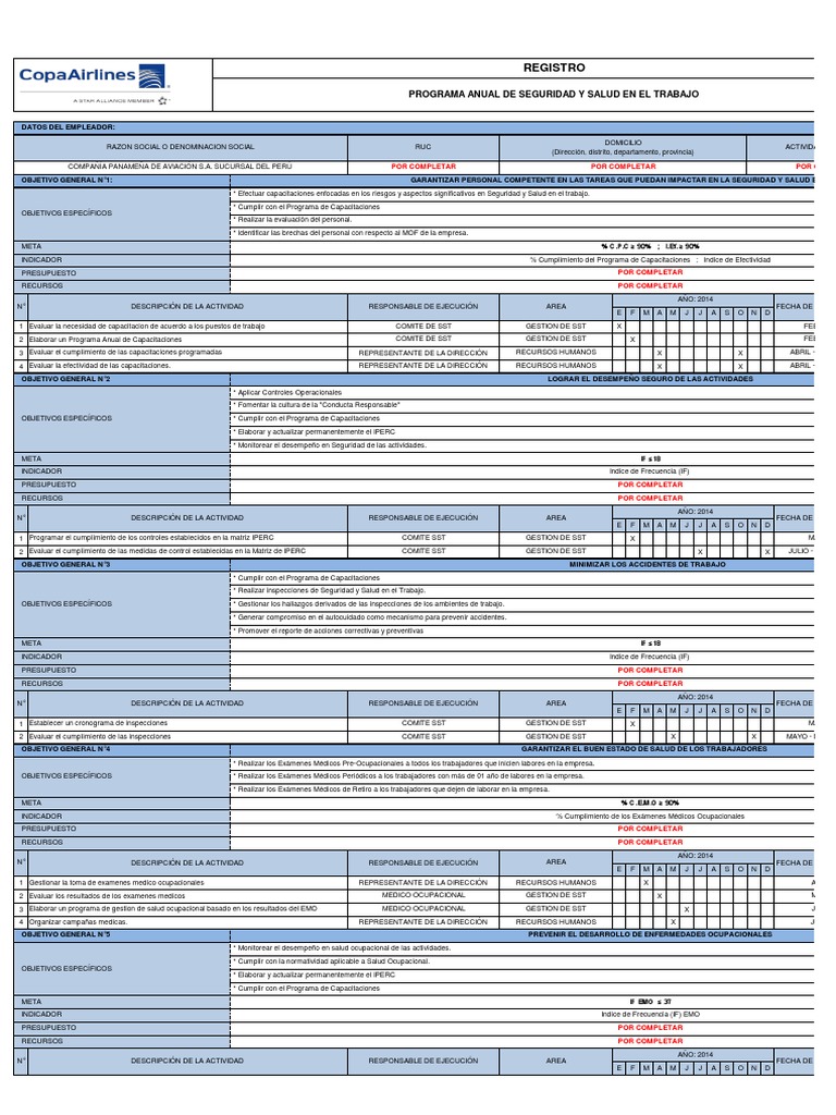 Copa-Fr-Sst-017 - V01 Programa Anual de SST | PDF | Seguridad y salud ocupacional | Gestión de ...