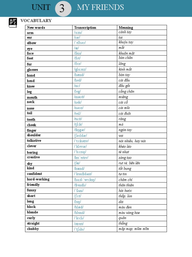 English Vocabulary for Beginners | PDF