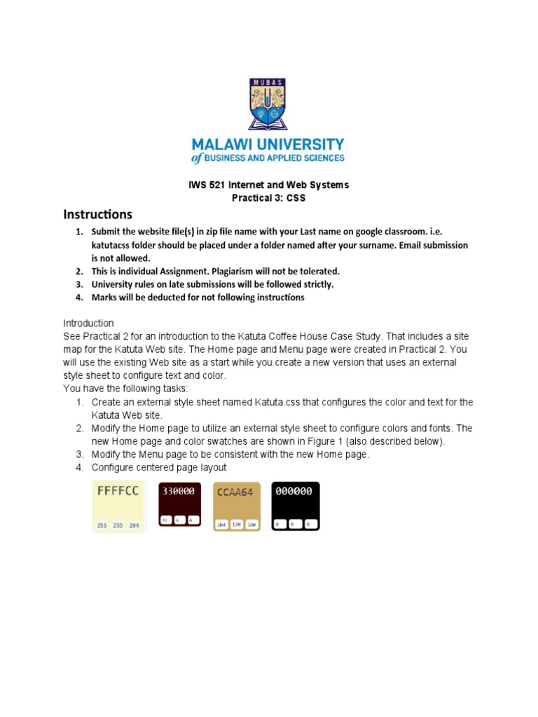 Practical 3 CSS | PDF | Computer Science | Computing